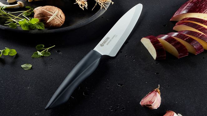 Shin Knife Set